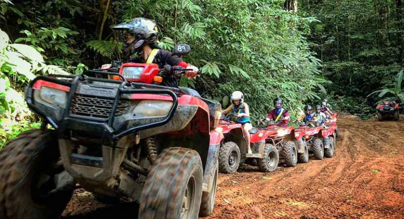 Crocodile Man Tour Costa Rica | Jaco Canopy Tour | AXR Jaco